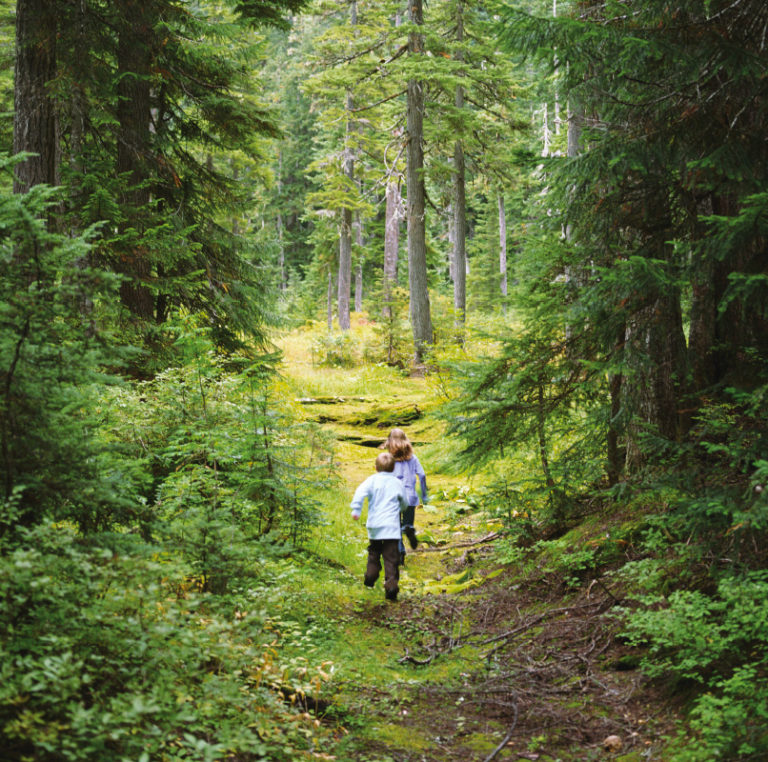 Home - Project Forest