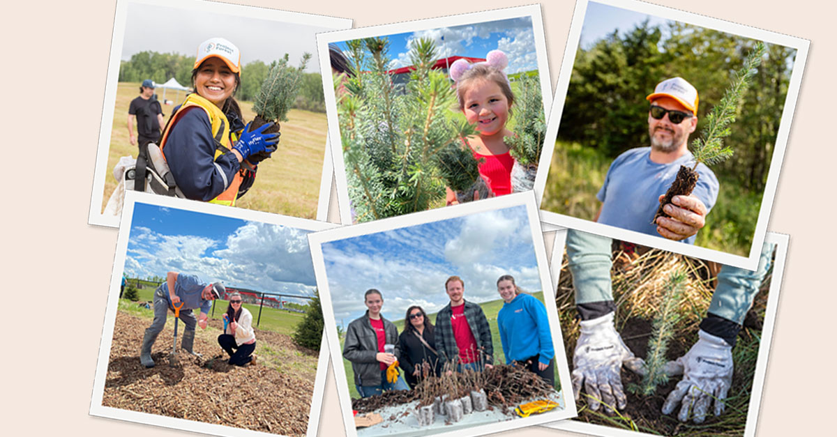 Join Our Tree UNselfie Challenge this Giving Tuesday! - Project Forest